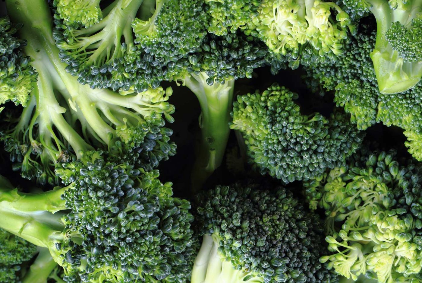 Produce sources | www.vidafresh.co.uk